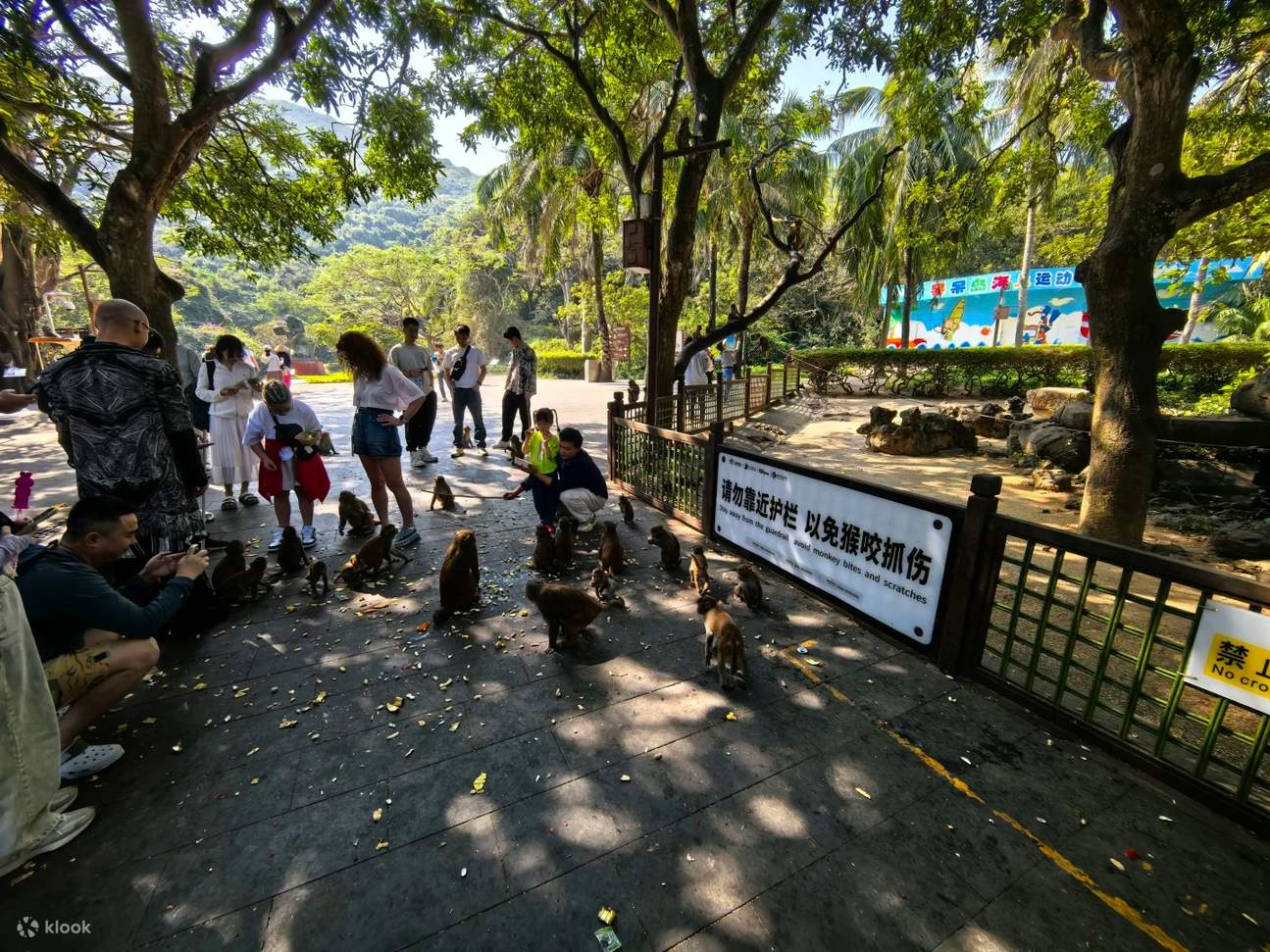 Sanya Monkey Island Park & Daidai Island One Day Tour (Adorable Monkeys & Exotic Island Scenery ...